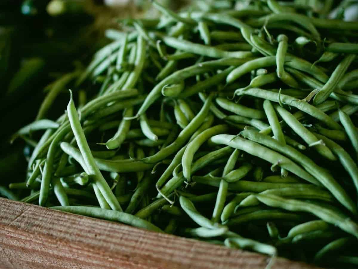 How to Trim Green Beans - the fast way! - Salads with Anastasia