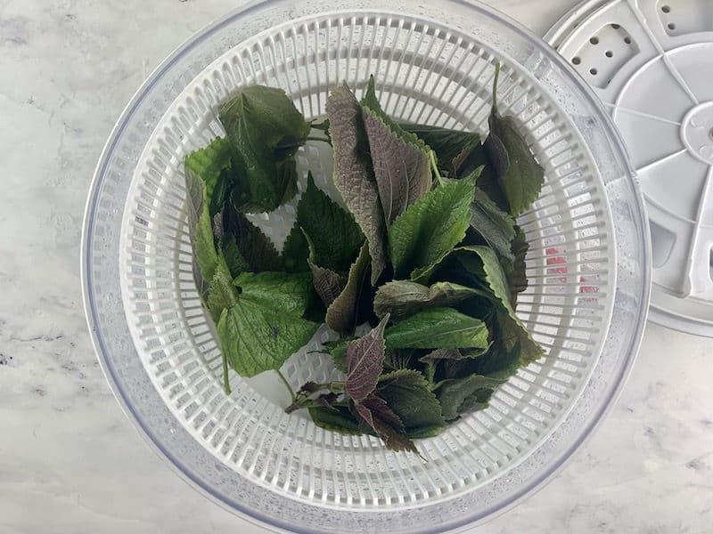 Shiso Salad with Blood Oranges and Avocado - Salads with Anastasia