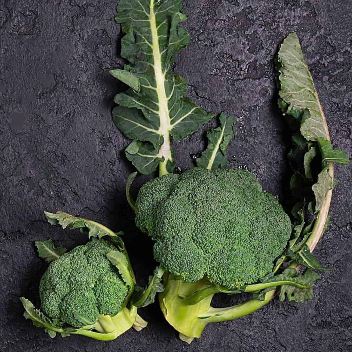 Facts About Broccoli - Salads with Anastasia